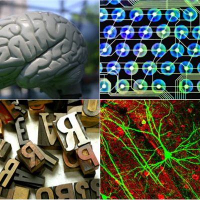 Home | Cognitive Science Program